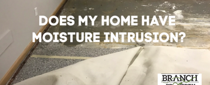 Moisture Intrusion Archives - Branch Property Investigations Moisture Intrusion Archives - Branch Property Investigations