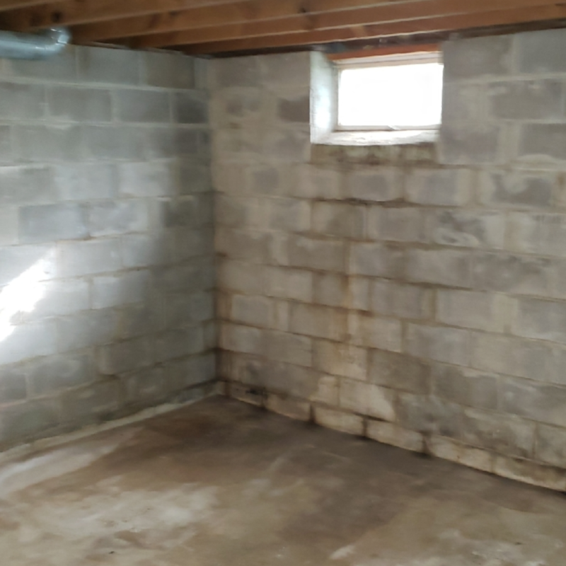 Moisture Intrusion - Branch Property Investigations | Shakopee Area Moisture Intrusion - Branch Property Investigations | Shakopee Area